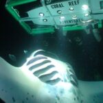 Manta Mania - Manta Ray Night Snorkel - Small-Group Experience In Kona, Hawaii - Frequently Asked Questions