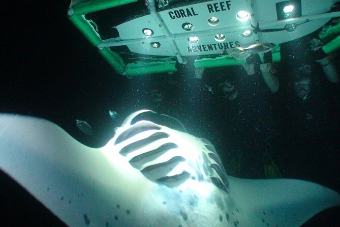 Manta Mania - Manta Ray Night Snorkel - Small-Group Experience In Kona, Hawaii - Frequently Asked Questions