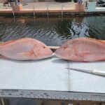 Marathon Florida Keys Fishing Experience - How the Experience Runs: Itinerary Breakdown