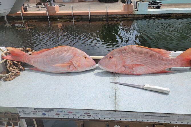 Marathon Florida Keys Fishing Experience - How the Experience Runs: Itinerary Breakdown