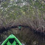 Marco Island: Mangrove Maze Kayak Tour (2hrs) - The Real Experience: What Tourists Are Saying
