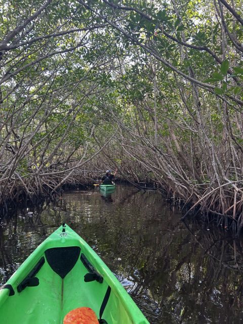 Marco Island: Mangrove Maze Kayak Tour (2hrs) - The Real Experience: What Tourists Are Saying