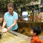 Marco Island Mangrove Tunnel and Maze Adventure Small group size - The Itinerary in Detail