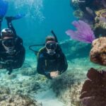 Marmaris: Scuba Diving Experience - Dive Into The Itinerary