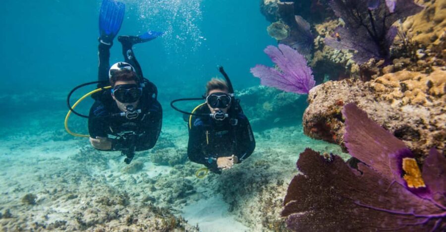 Marmaris: Scuba Diving Experience - Dive Into The Itinerary