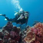 Marmaris: Scuba Diving, Incl. 2 Dive, Lunch w/Hotel Transfer - What to Expect from the Marmaris Scuba Tour