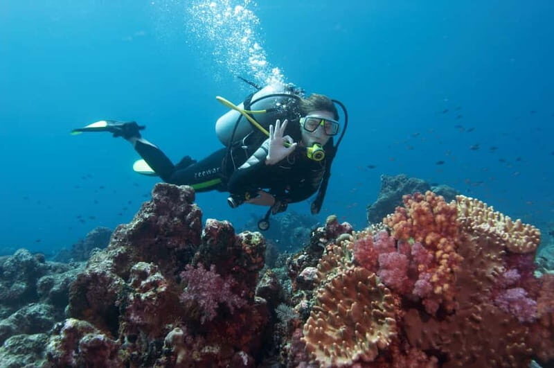 Marmaris: Scuba Diving, Incl. 2 Dive, Lunch w/Hotel Transfer - What to Expect from the Marmaris Scuba Tour