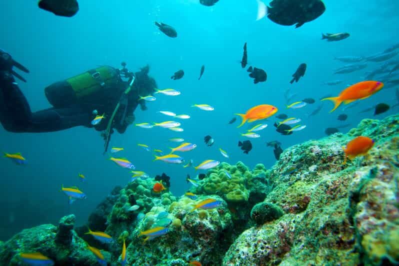 Marmaris: Scuba Diving with a Qualified Instructor - The Itinerary: What to Expect
