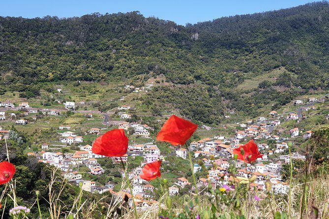 Maroços - Mimosa Valley - Transportation and Group Size