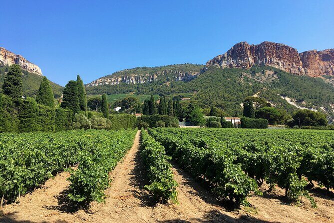 Marseille Shore Excursion - Full Day Wine Tour in Provence - Exploring the Towns and Free Time