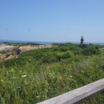Martha's Vineyard Day Trip with Optional Island Tour from Boston - Who Would Love This Tour?