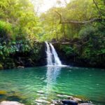 Maui Beach Parks Self-Guided Driving Tour - In-Depth: What Makes Each Stop Special