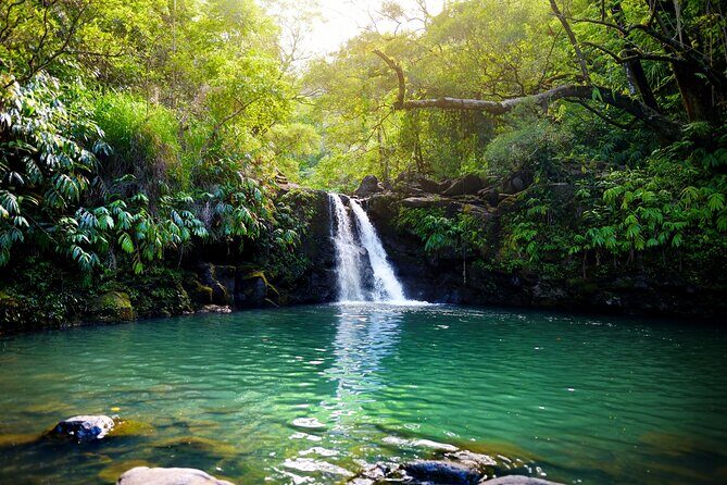 Maui Beach Parks Self-Guided Driving Tour - In-Depth: What Makes Each Stop Special