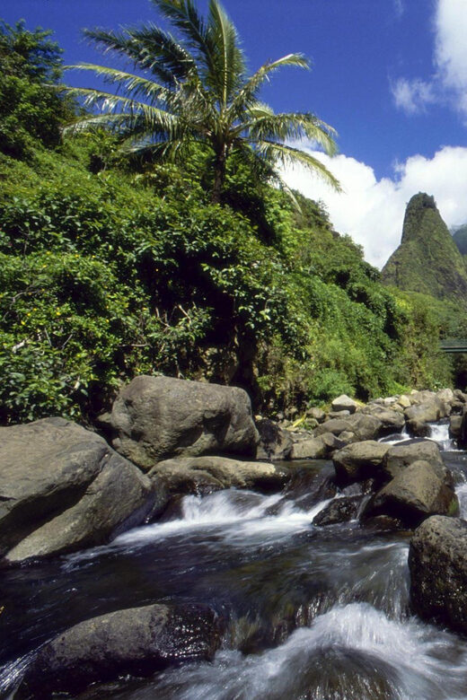Maui: Custom Elite Tour with Escalade & Meals - The Day Unfolds: What to Expect