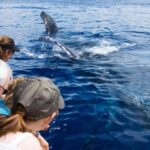 Maui: Eco-Friendly Whale Watching Tour from Ma'alaea Harbor - The Itinerary in Detail