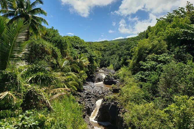 Maui Exclusive - Road to Hana Adventure - Just for Your Group - Who Will Love This Tour?