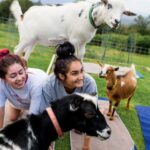 Maui Goat Yoga with Miniature Goats - The Setting: Maui’s Breath-Taking Coastline