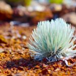Maui: Haleakala Guided Bike Tour - Price and Value