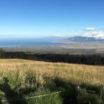 Maui Haleakala Sunrise Downhill Bike Tour with Mountain Riders Rated #1 - Practical Details for Travelers