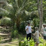 Maui Historical Island Tour - A Deep Dive into the Experience