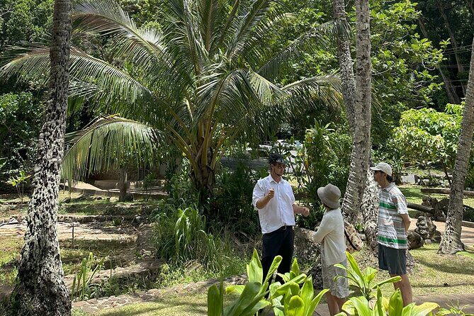 Maui Historical Island Tour - A Deep Dive into the Experience