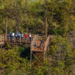 Maui: Ka'anapali 8 Line Zipline Adventure - The Guides and Safety: Why They Make the Difference