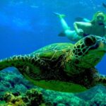 Maui: Kaanapali Beach 4-hour Snorkel w/ BBQ Lunch & Open Bar - The Onboard Experience: Food, Drinks, and Atmosphere