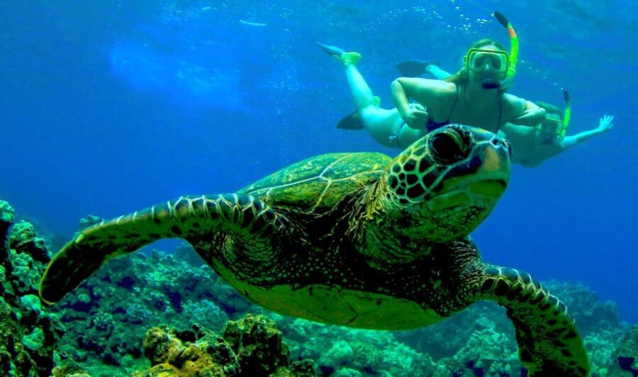 Maui: Kaanapali Beach 4-hour Snorkel w/ BBQ Lunch & Open Bar - The Onboard Experience: Food, Drinks, and Atmosphere