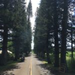 Maui : Private : Road to Hana Day Trip : Just For Your Group - FAQ
