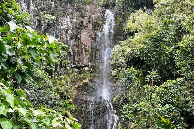 Maui Road to Hana VIP Private Tour in Convertible Bronco - Deep Dive into the Itinerary