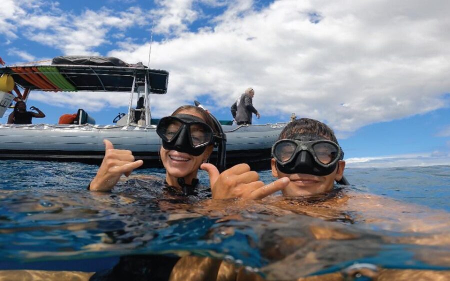 Maui: Semi-Private 3 Hour Eco-Raft Turtle Snorkel Tour - What Makes This Tour Stand Out?