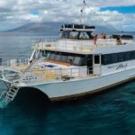 Maui Snorkeling Molokini Crater and Turtle Town - Who Will Love This Tour?