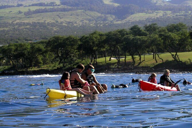 Maui South Shore Premier Kayak and Snorkel Tour from Makena Beach - The Sum Up