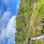 Maui: Van Day Trip to Hana with Local Guide and Lunch - What Travelers Are Saying