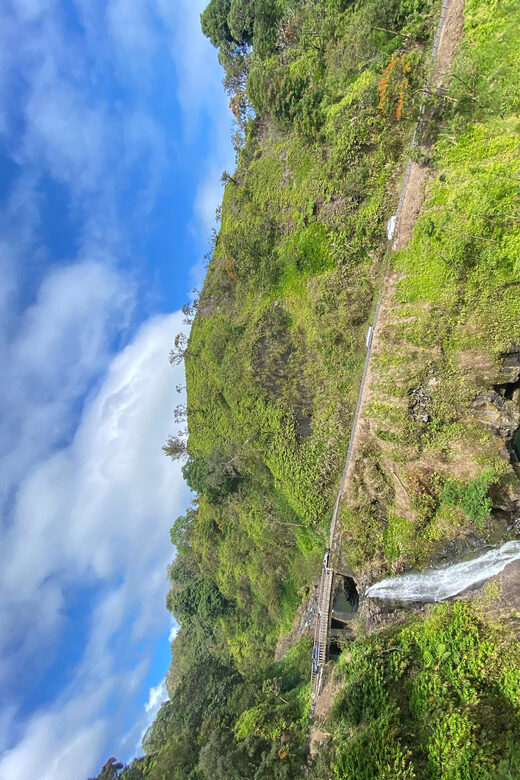 Maui: Van Day Trip to Hana with Local Guide and Lunch - What Travelers Are Saying
