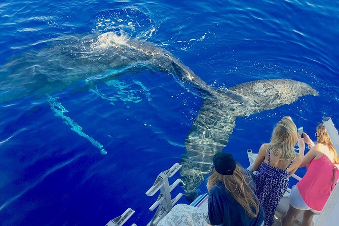 Maui Whale Watch & Snorkel from Ma'alaea Harbor Pride of Maui - A comprehensive look at Maui Whale Watch & Snorkel from Maalaea Harbor aboard Pride of Maui
