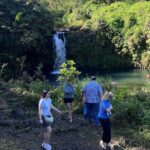Mauis Sea Turtles, Waterfalls and Road to Hana Adventure - What Guests Are Saying