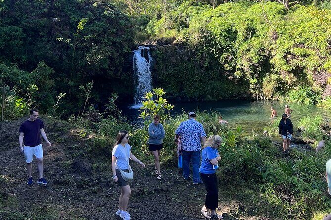 Mauis Sea Turtles, Waterfalls and Road to Hana Adventure - What Guests Are Saying