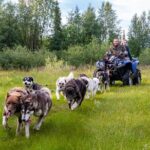 Meet 70 Huskies and Enjoy a short ATV Tour with the Huskies - Authenticity and Value