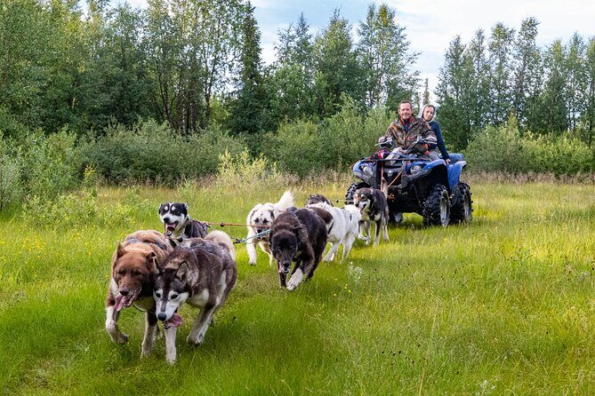 Meet 70 Huskies and Enjoy a short ATV Tour with the Huskies - Authenticity and Value