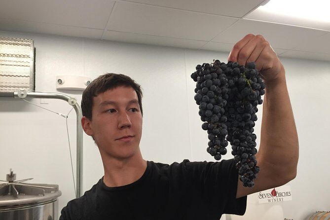 Meet the Winemakers - Seven Birches Winery Tour - What to Expect from the Experience