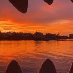 Mega Bite Dolphin Tour Boat in Clearwater Beach - What You Can Expect at Each Stage