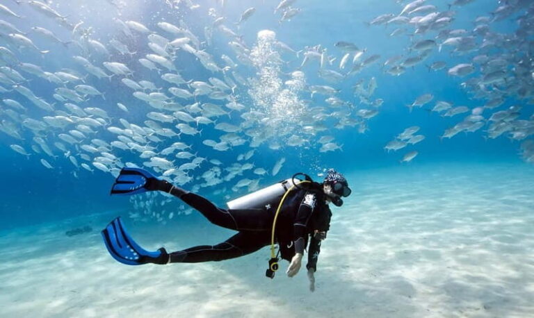 Mellieha: Introductory Diving Session in the Open Sea - A Detailed Look at the Itinerary