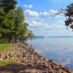 Memphis History & Heritage: Private Half-Day Walking Tour - Why This Tour Stands Out