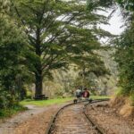 Mendocino County: Pudding Creek Railbikes - What’s Included, What’s Not, and Practical Tips