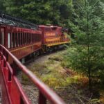 Mendocino County: Skunk Train Wolf Tree Turn Train Ride - Why This Tour Offers Good Value