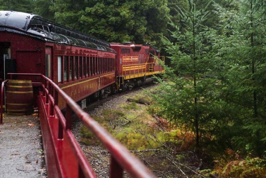 Mendocino County: Skunk Train Wolf Tree Turn Train Ride - Why This Tour Offers Good Value