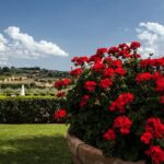 Menu with a View in the enchantment of the Tuscan hills - What Do Travelers Say?