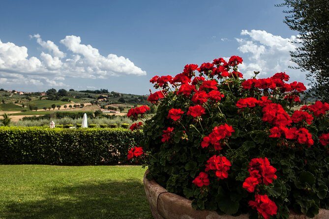 Menu with a View in the enchantment of the Tuscan hills - What Do Travelers Say?