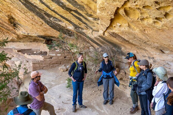 Mesa Verde Express Tour With Tickets To Cliff Palace - A Complete Breakdown of the Tour